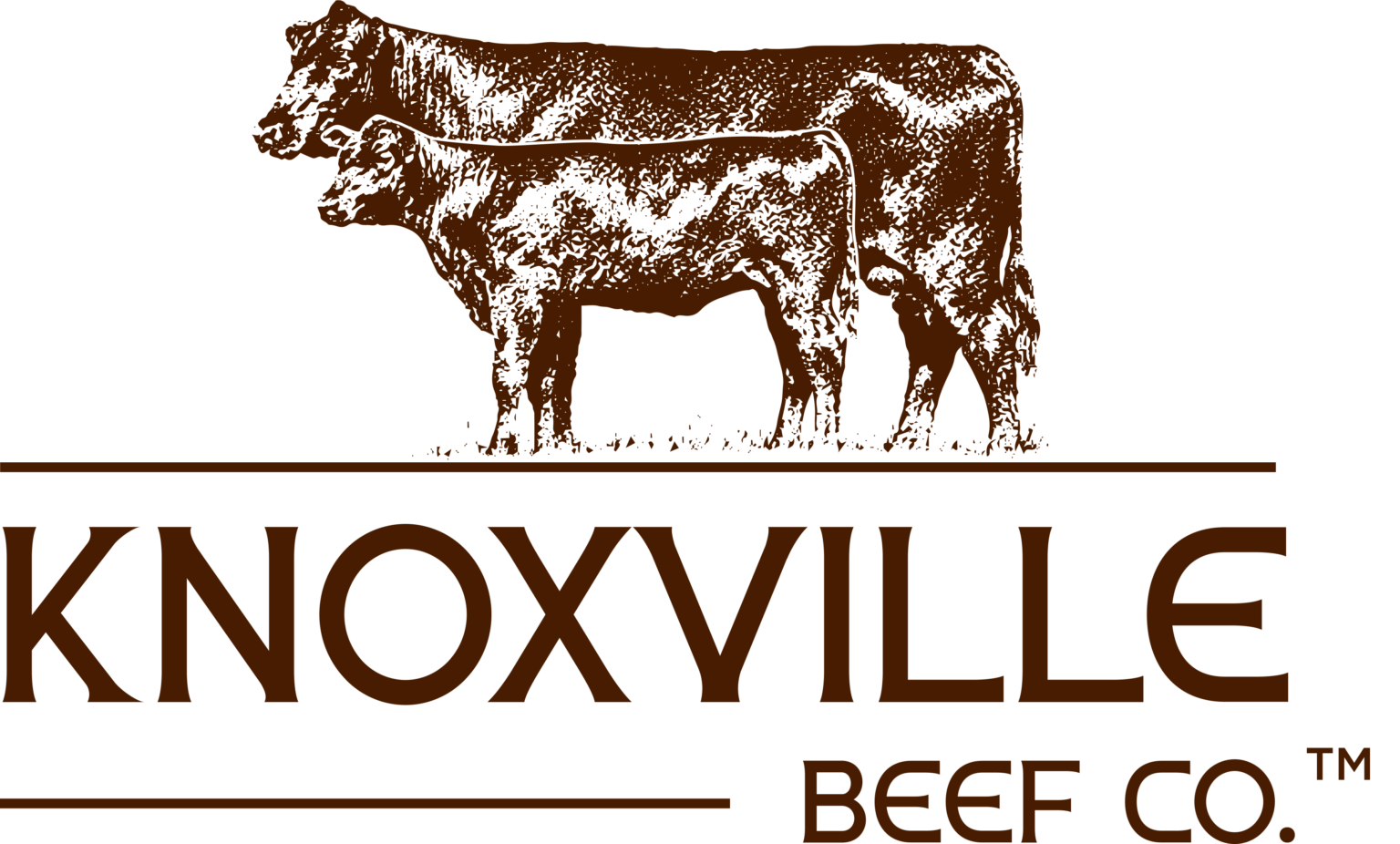 Whole Cow | $4,800 - Knoxville Beef Company